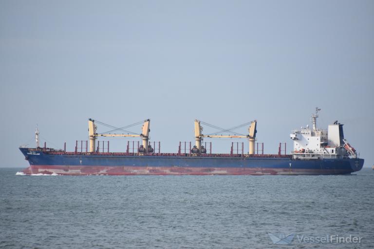 SEAMEC GALLANT, Bulk Carrier - Details and current position - IMO ...