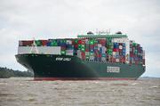 EVER LOYAL, Container Ship - Details and current position - IMO 9604158 ...