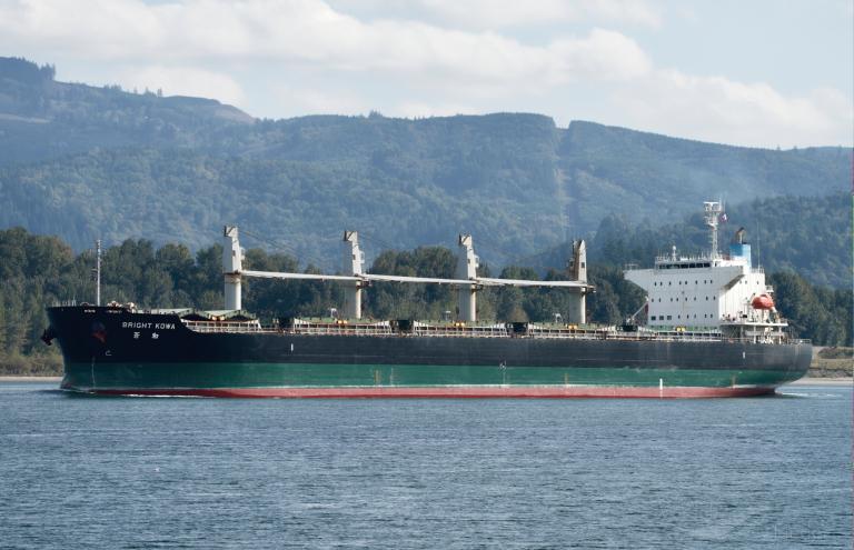 BRIGHT KOWA, Bulk Carrier - Details and current position - IMO 9604811 ...