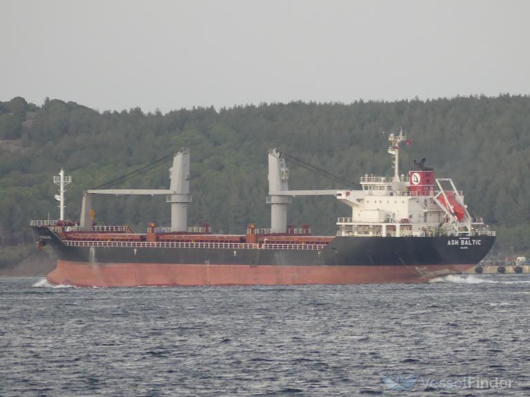 ASH BALTIC, General Cargo Ship - Details and current position - IMO ...