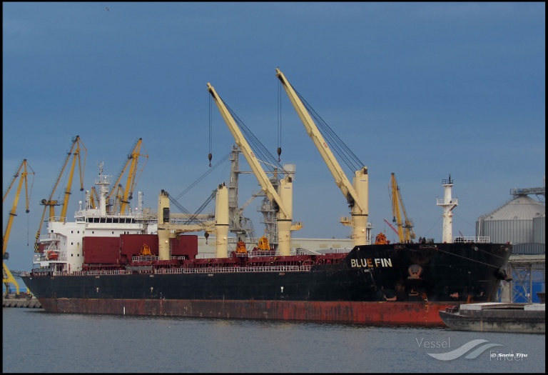BLUE FIN, Bulk Carrier - Details and current position - IMO 9607277 ...