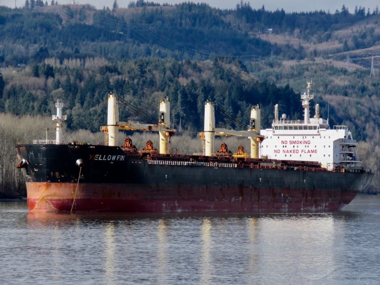 YELLOW FIN, Bulk Carrier - Details and current position - IMO 9607289 ...
