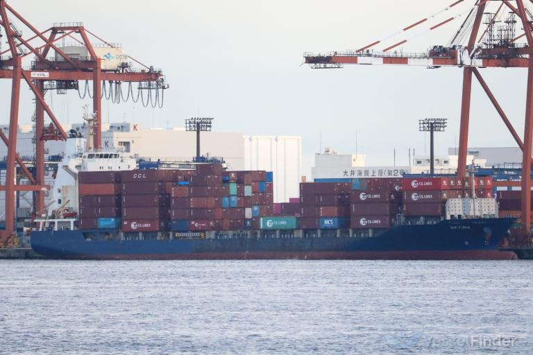 OPTIMA, Container Ship - Details and current position - IMO 9609419 ...
