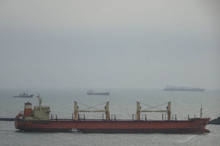 T PRIME, Bulk Carrier - Detalles del buque y posición actual - IMO ...