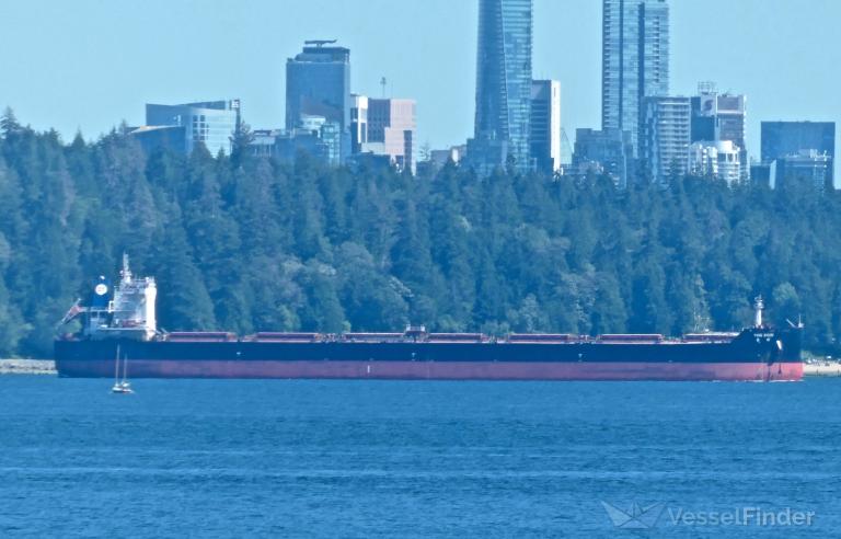YING SHUN, Bulk Carrier - Details and current position - IMO 9611565 ...