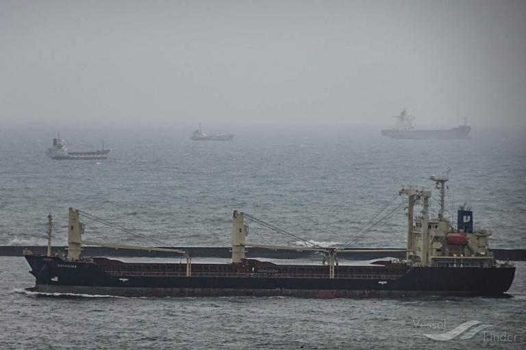 HAYABUSA, General Cargo Ship - Details and current position - IMO ...