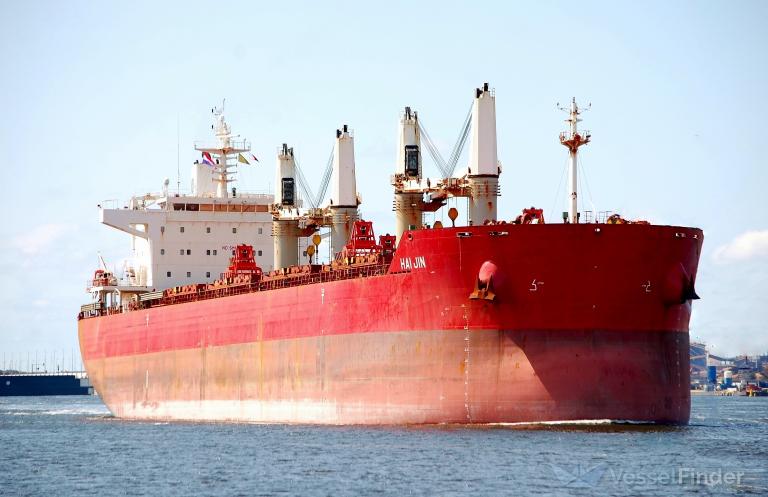 HAI JIN, Bulk Carrier - Details and current position - IMO 9617674 - VesselFinder