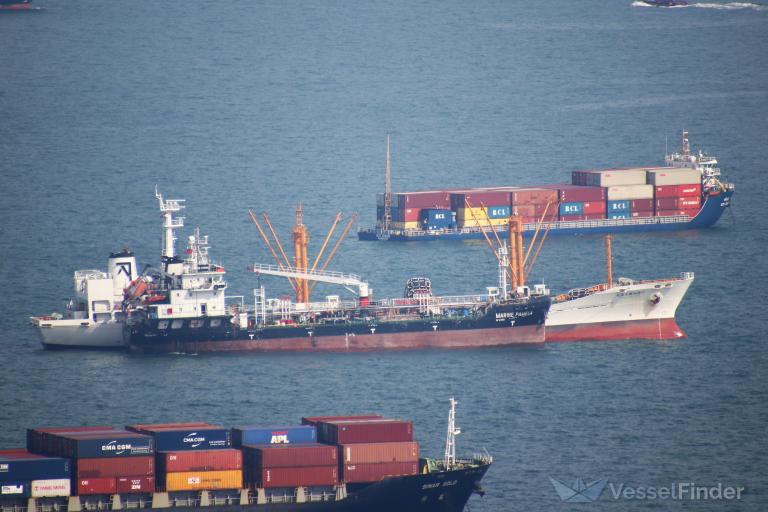 MARINE PAMELA, Bunkering Tanker - Details and current position - IMO ...