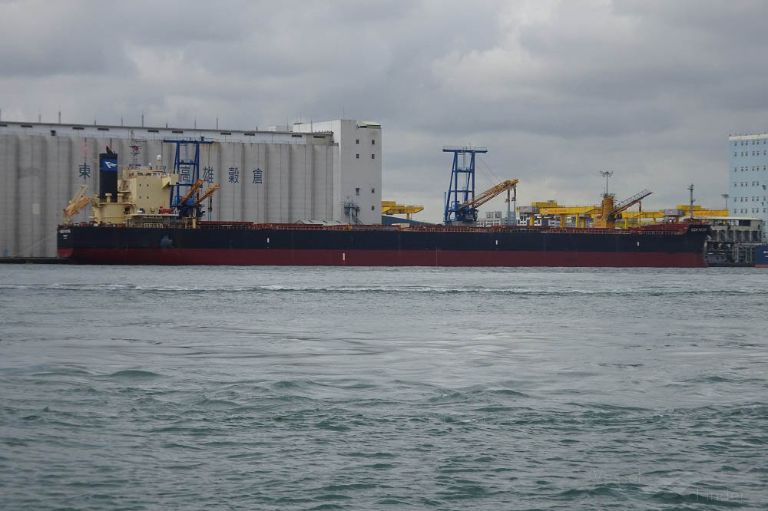 BISON, Bulk Carrier - Details and current position - IMO 9622423 ...