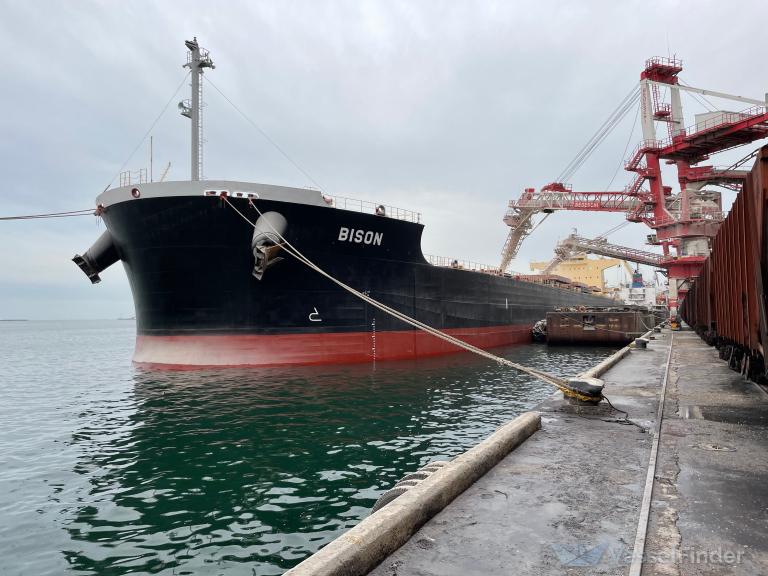 BISON, Bulk Carrier - Details and current position - IMO 9622423 ...