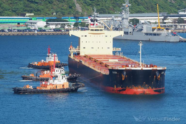 BISON, Bulk Carrier - Details and current position - IMO 9622423 ...