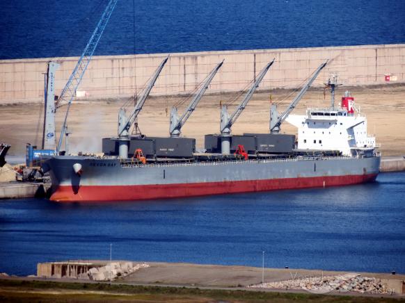 DEVON BAY, Bulk Carrier - Details and current position - IMO 9622849 ...