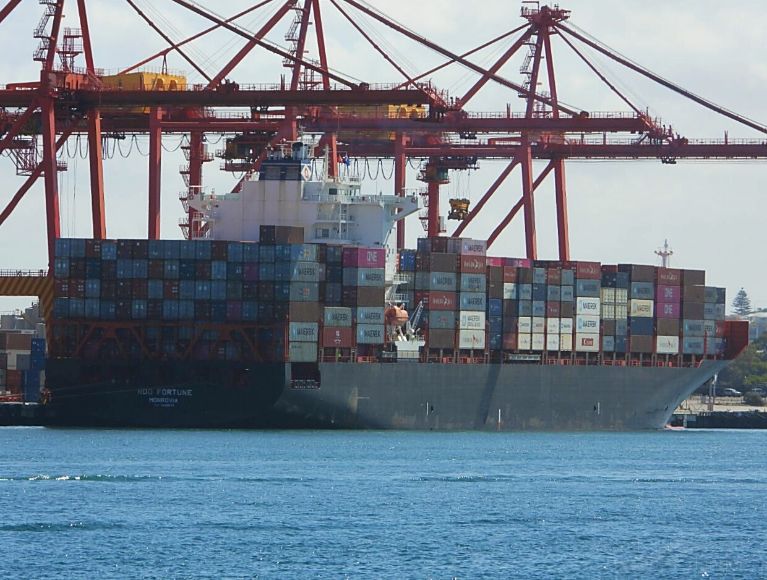 RDO FORTUNE, Container Ship - Details and current position - IMO ...