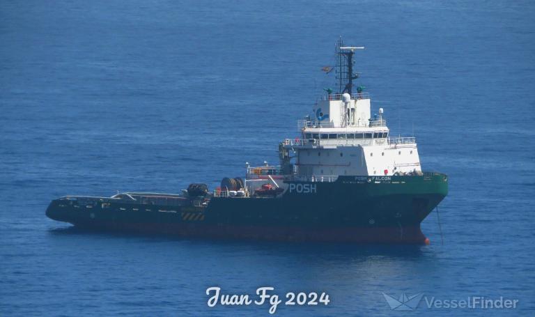 POSH FALCON, Anchor Hoy - Details and current position - IMO 9624586 ...