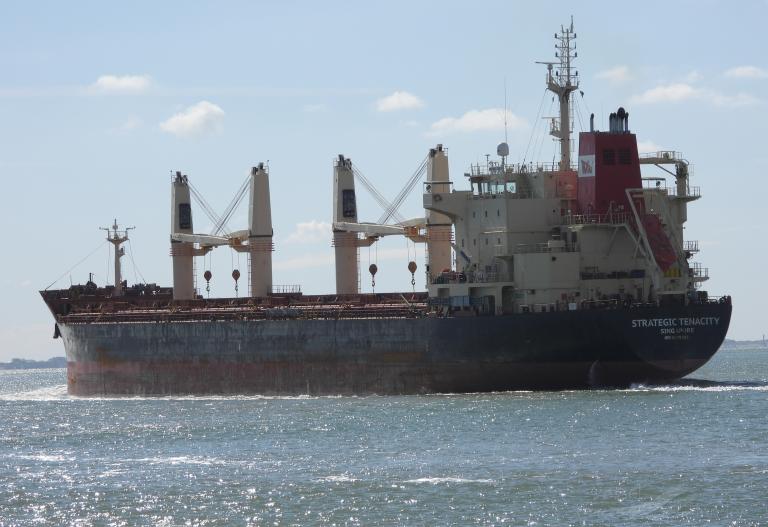 STRATEGIC TENACITY, Bulk Carrier - Detalles del buque y posición actual ...