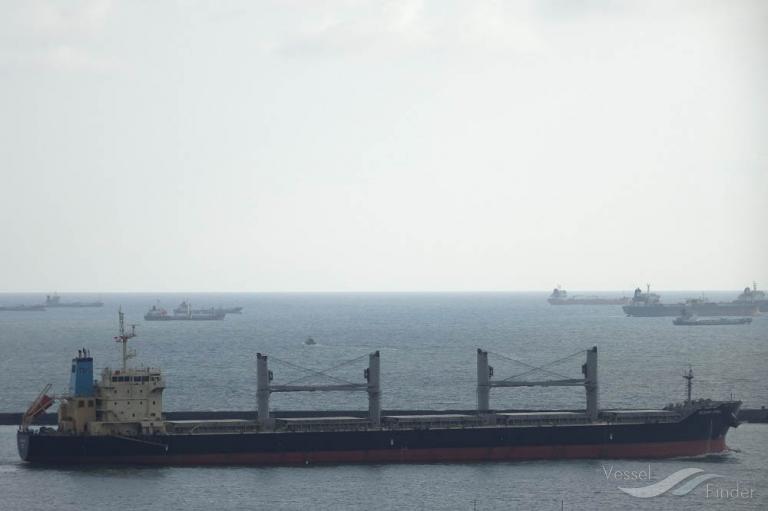 LIMA STRAIT, Bulk Carrier - Schiffsdaten und aktuelle Position - IMO ...