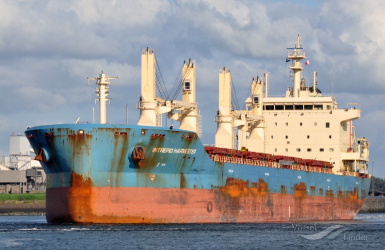 MOTHER M, Bulk Carrier - Details and current position - IMO 9626613 ...