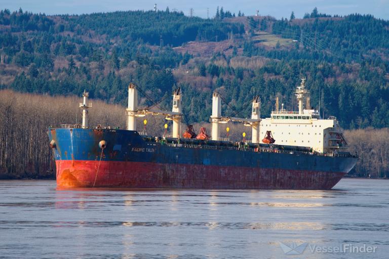 RUI FU AN, Bulk Carrier - Details and current position - IMO 9626950 ...