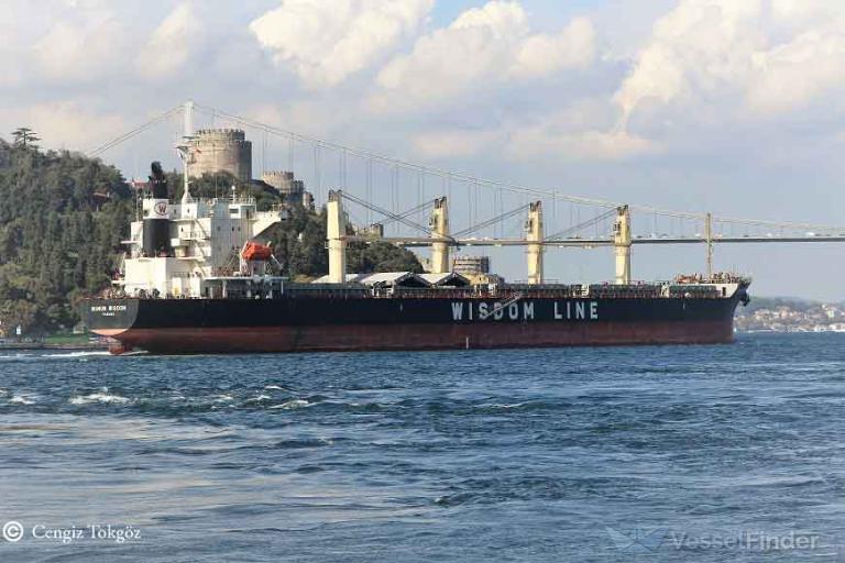 BUNUN WISDOM, Bulk Carrier - Detalles del buque y posición actual - IMO ...