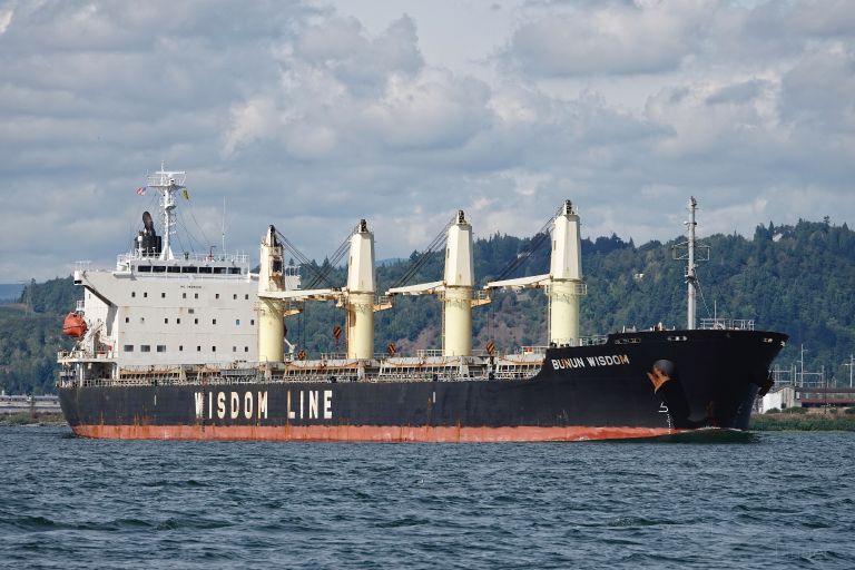BUNUN WISDOM, Bulk Carrier - Details and current position - IMO 9628568 ...