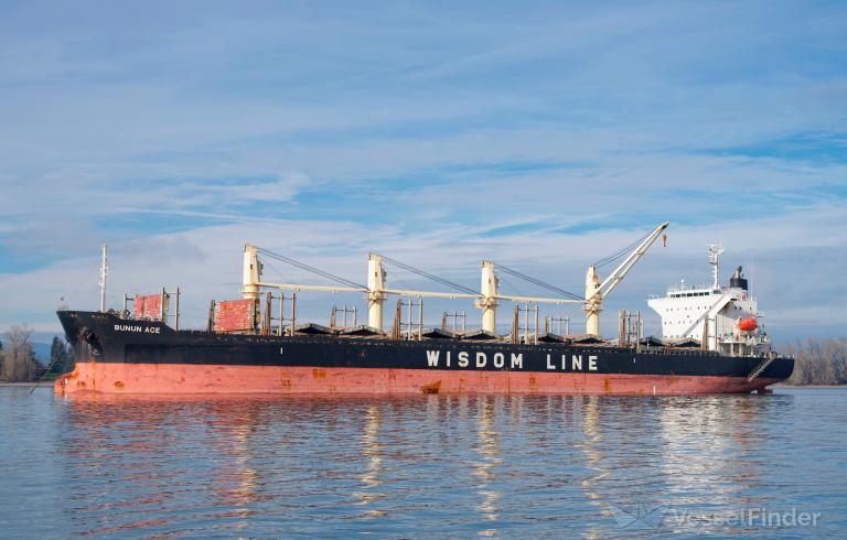 BUNUN ACE, Bulk Carrier - Details and current position - IMO 9628570 ...