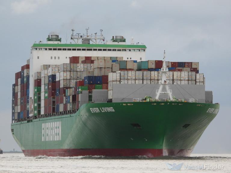 EVER LIVING, Container Ship - Details and current position - IMO ...