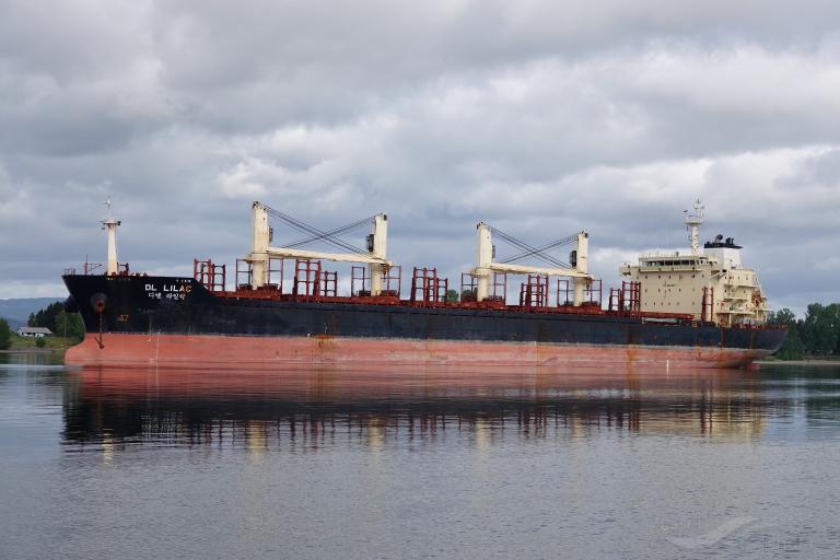 CAPE BYRON, Bulk Carrier - Details and current position - IMO 9629677 ...