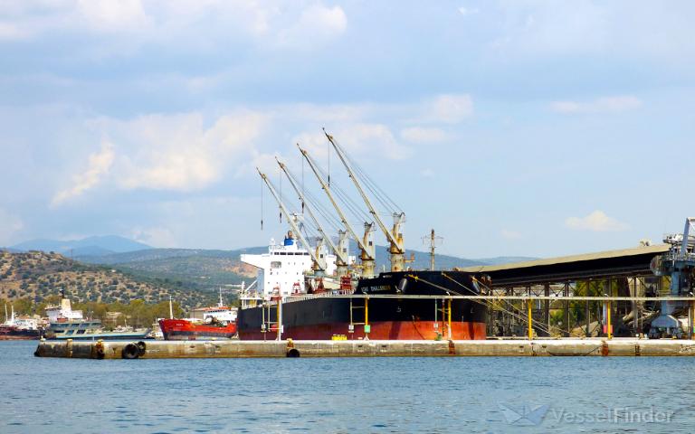 STAR CHALLENGER, Bulk Carrier - Details and current position - IMO ...