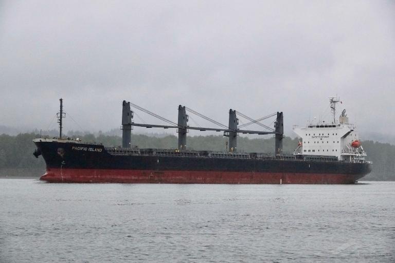 PACIFIC ISLAND, Bulk Carrier - Detalles del buque y posición actual ...