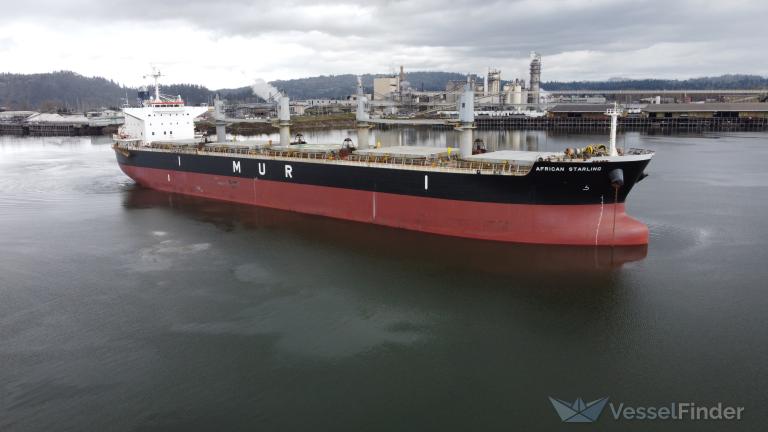AFRICAN STARLING, Bulk Carrier - Details and current position - IMO ...