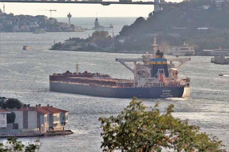 BACON, Bulk Carrier - Details and current position - IMO 9639517 ...