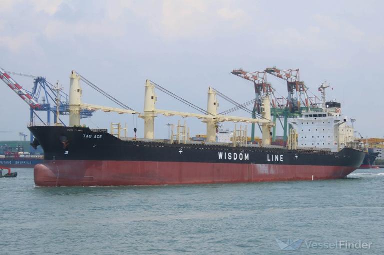 TAO ACE, Bulk Carrier - Details and current position - IMO 9639696 ...
