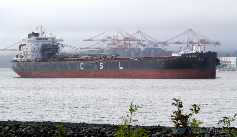 CSL TACOMA, Self Discharging Bulk Carrier - Detalles del buque y ...