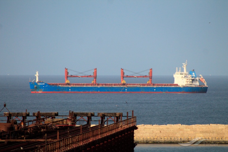 OCEANLOVE, Bulk Carrier - Details and current position - IMO 9641352 ...