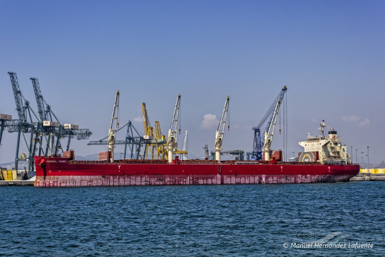 FEDERAL TAMBO, Bulk Carrier - Details and current position - IMO ...