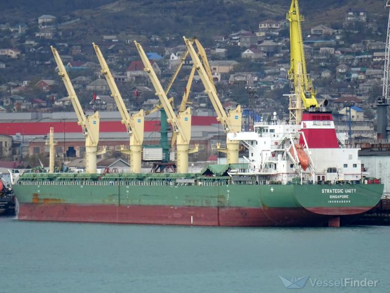 STRATEGIC UNITY, Bulk Carrier - Details and current position - IMO ...