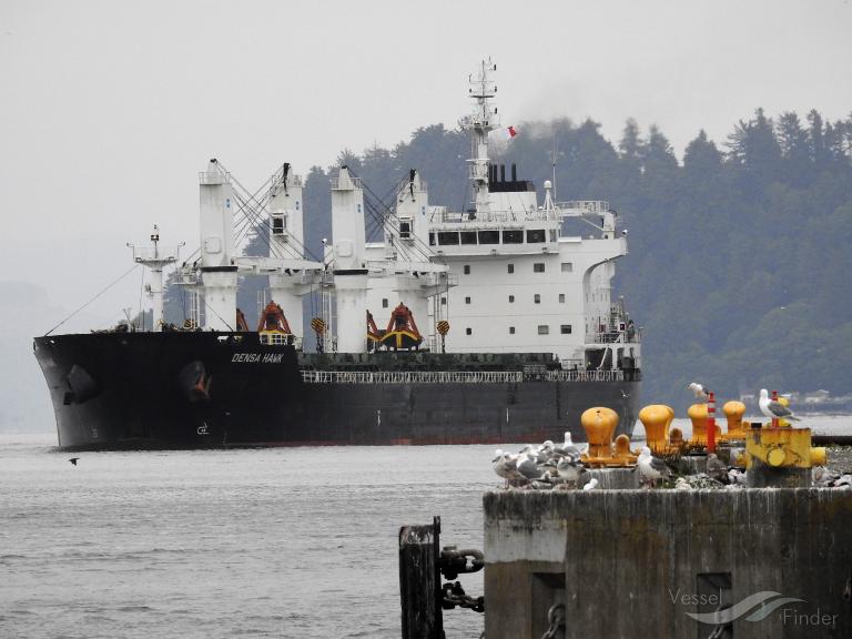 DENSA HAWK, Bulk Carrier - Details and current position - IMO 9649093 ...