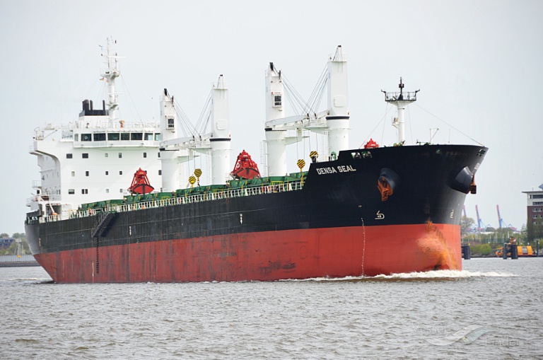 DENSA SEAL, Bulk Carrier - Details and current position - IMO 9649110 ...