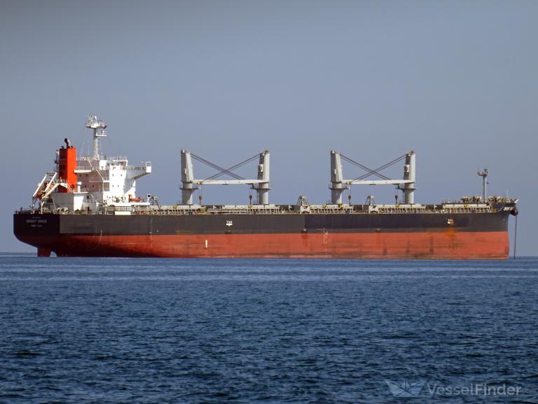 GRACE, Bulk Carrier - Details and current position - IMO 9650157 ...