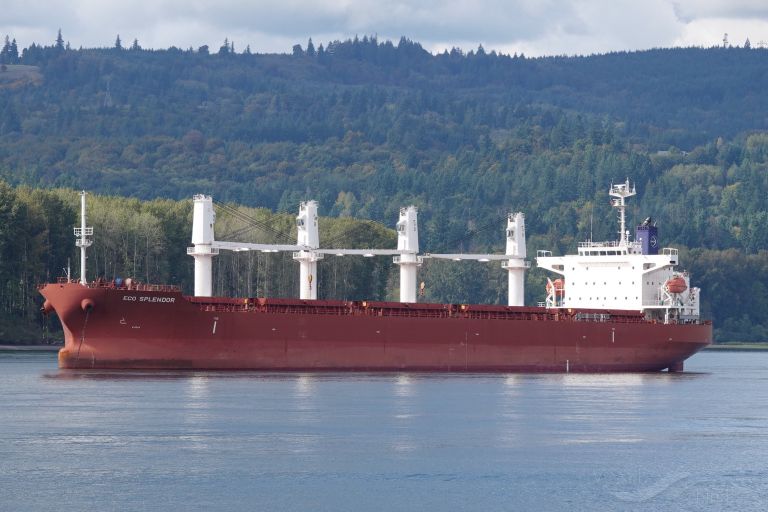 DEVBULK GULTEN, General Cargo Ship - Details and current position - IMO ...