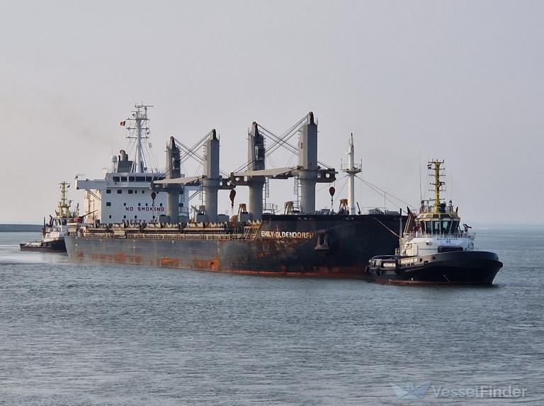 GOLDEN CITRUS, Bulk Carrier - Details and current position - IMO ...