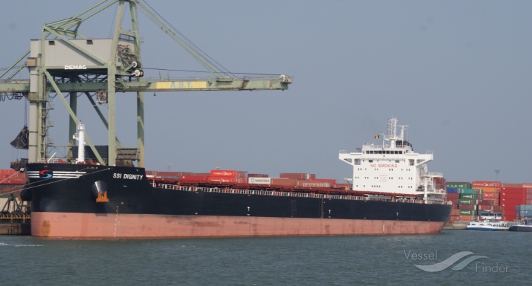 SSI DIGNITY, Bulk Carrier - Details and current position - IMO 9665360 - VesselFinder