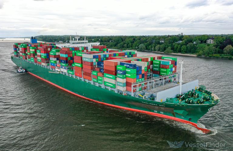 CHARLESTON EXPRESS, Container Ship - Details and current position - IMO ...