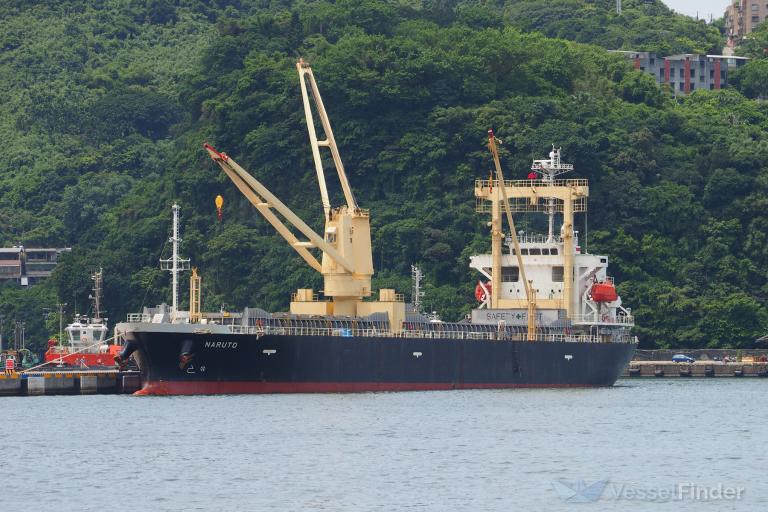 NARUTO, General Cargo Ship - Details and current position - IMO 9665865 ...