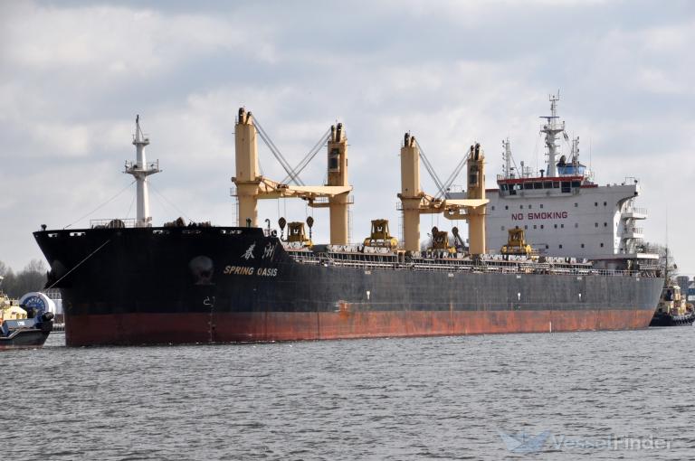SPRING OASIS, Bulk Carrier - Details and current position - IMO 9666039 ...