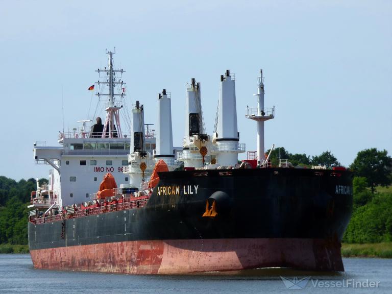 AFRICAN LILY, Bulk Carrier - Details and current position - IMO 9666443 ...