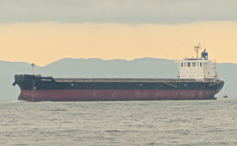 BULK PROMISE, Bulk Carrier - Details and current position - IMO 9666510 ...