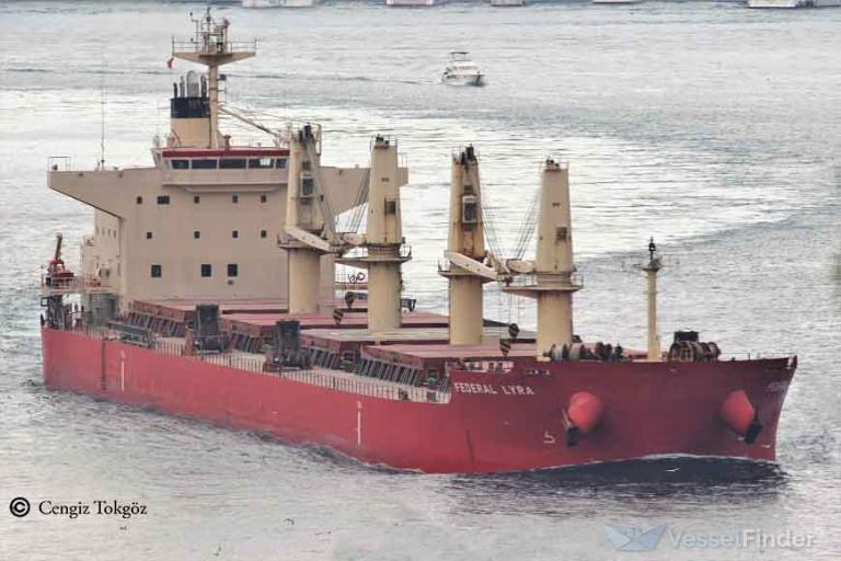 LYRA M, Bulk Carrier - Details and current position - IMO 9668063 ...