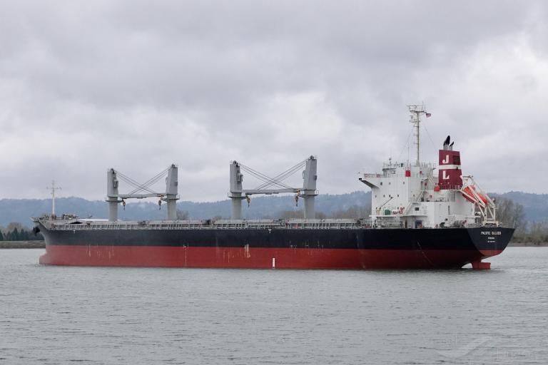 PACIFIC BULKER, Bulk Carrier - Detalles del buque y posición actual ...