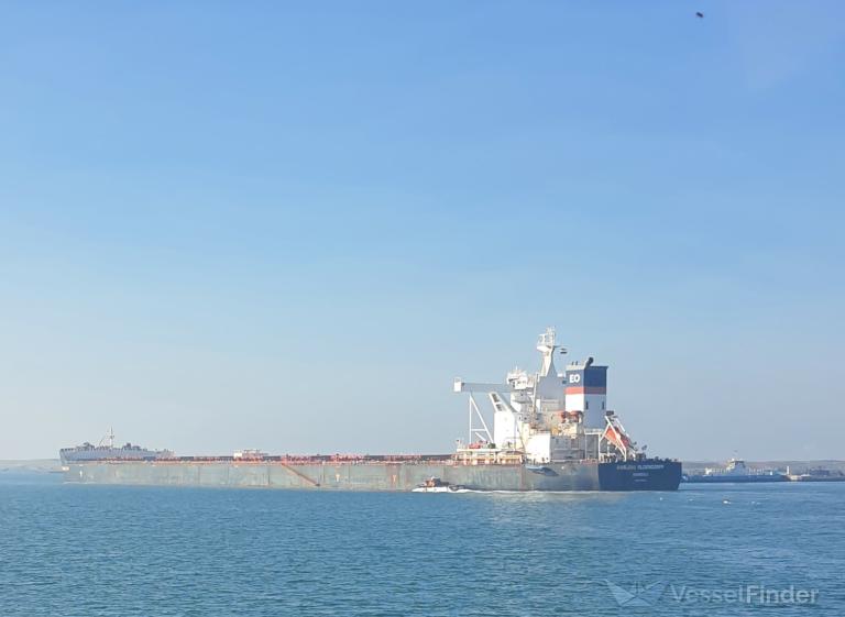 MARLENE OLDENDORFF, Bulk Carrier - Details and current position - IMO ...